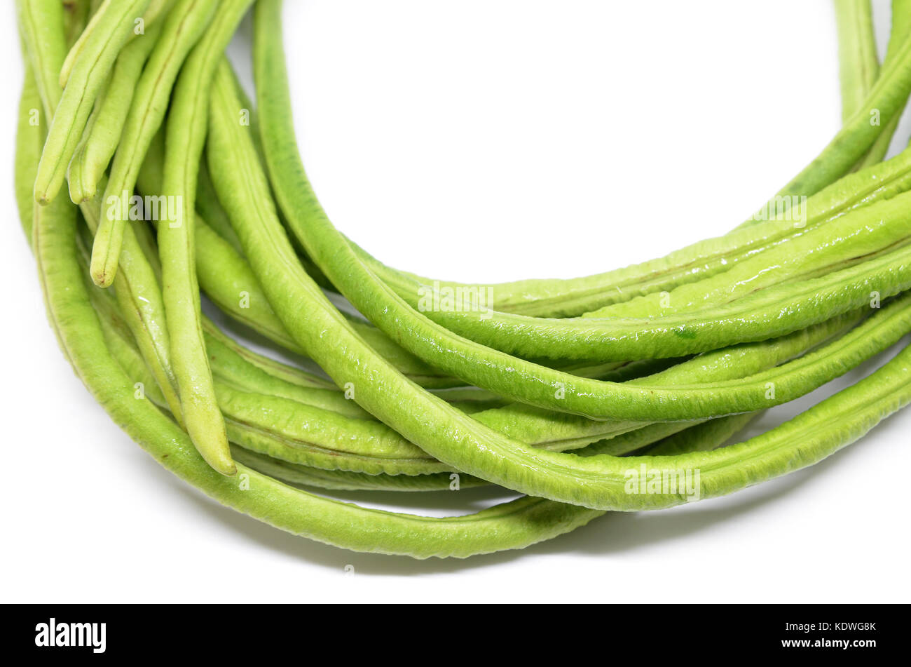 Bunch of fresh long bean isolated on white background Stock Photo - Alamy