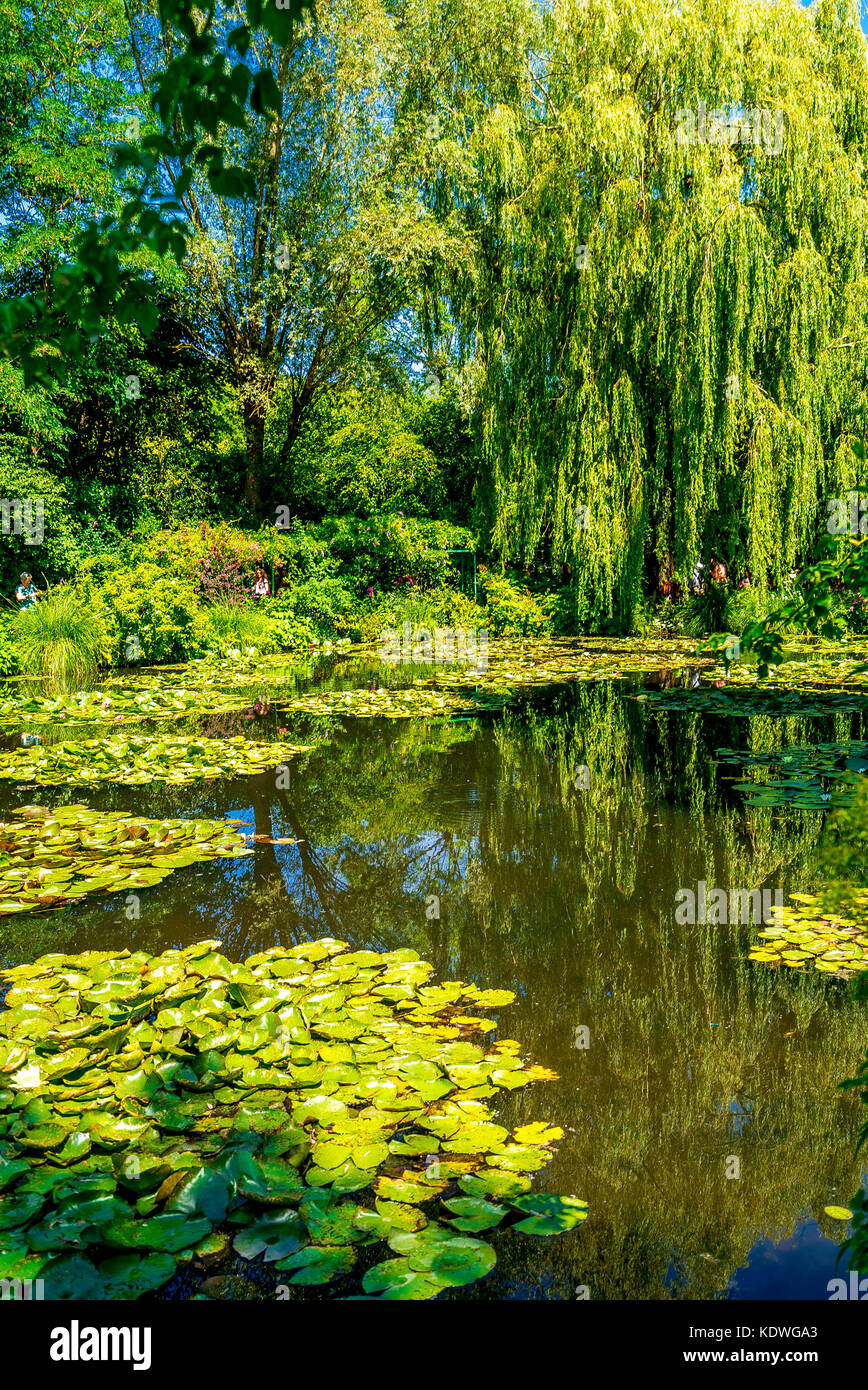 Monet's famous Lily Pond Stock Photo - Alamy