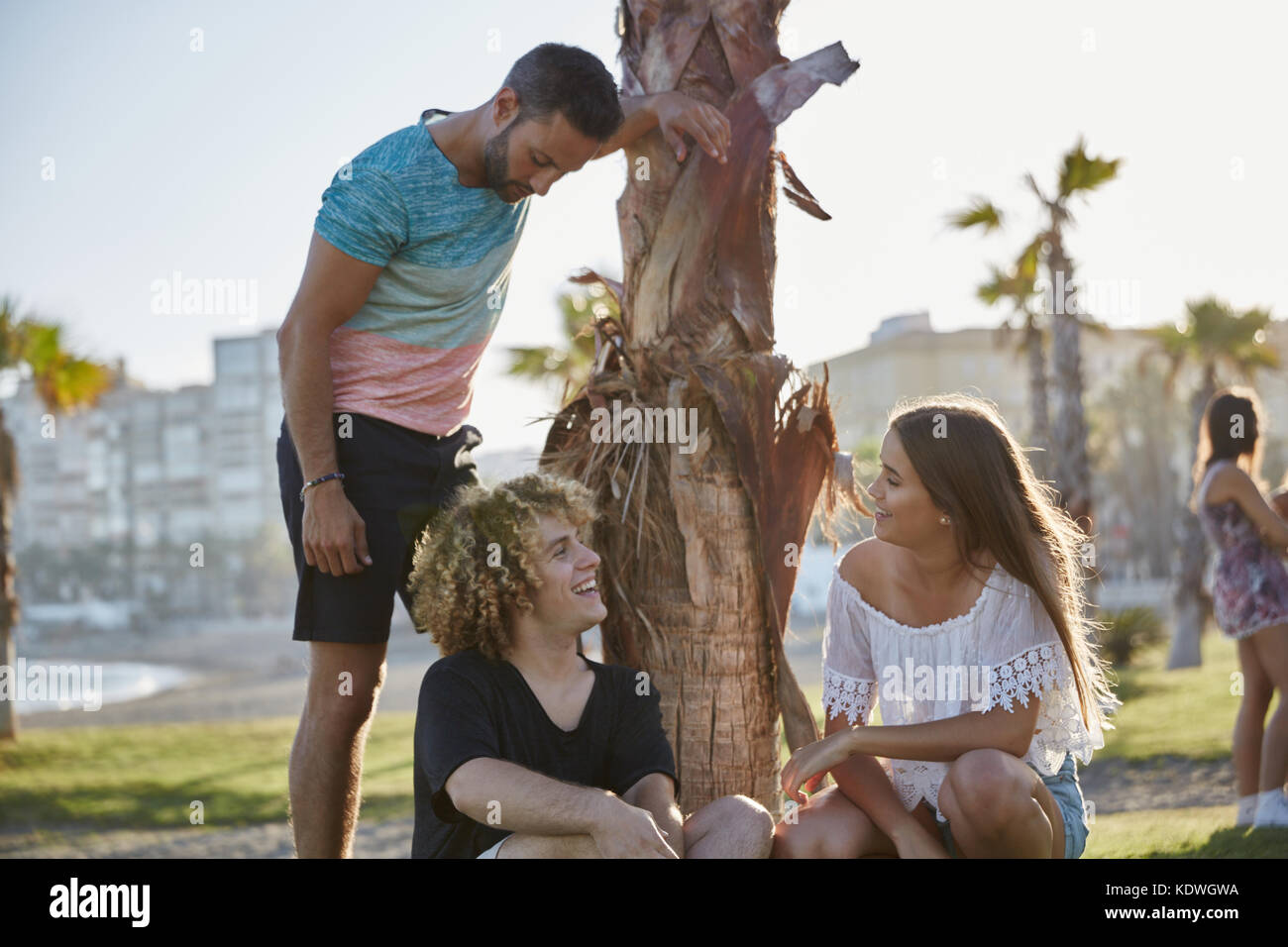 Portrait of happy friends sitting under the tree talking Stock Photo ...