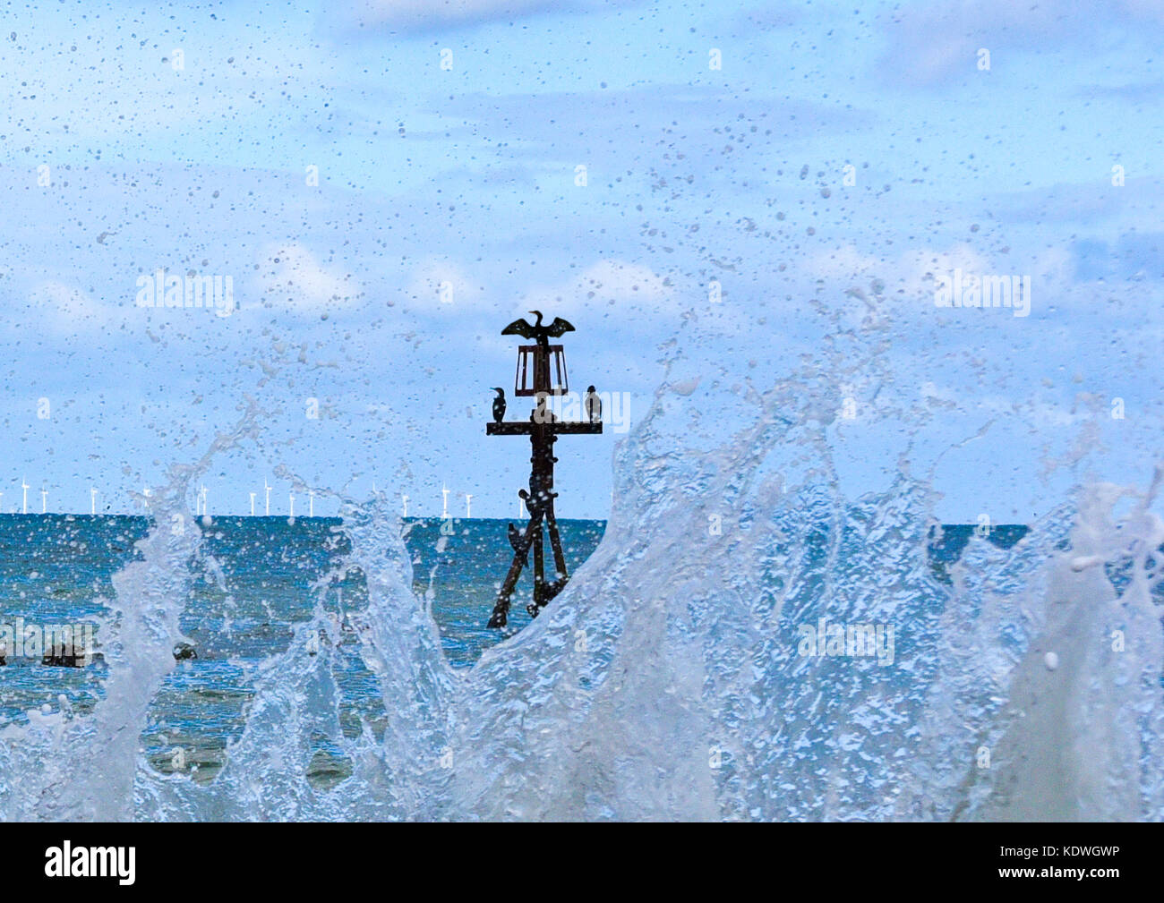 Water Breaking while Cormorants Pose Stock Photo - Alamy