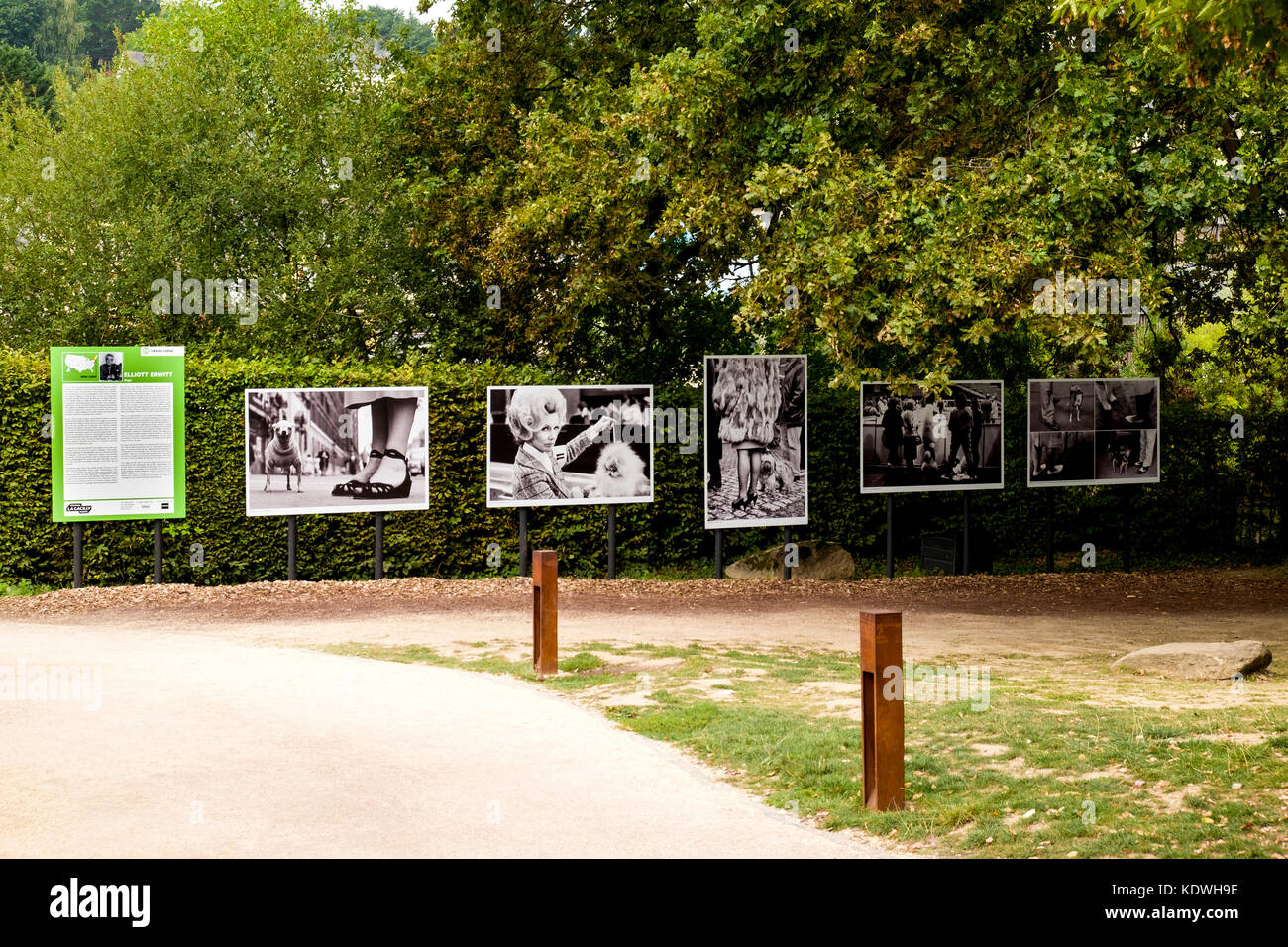 Large Format Photographs High Resolution Stock Photography and Images ...