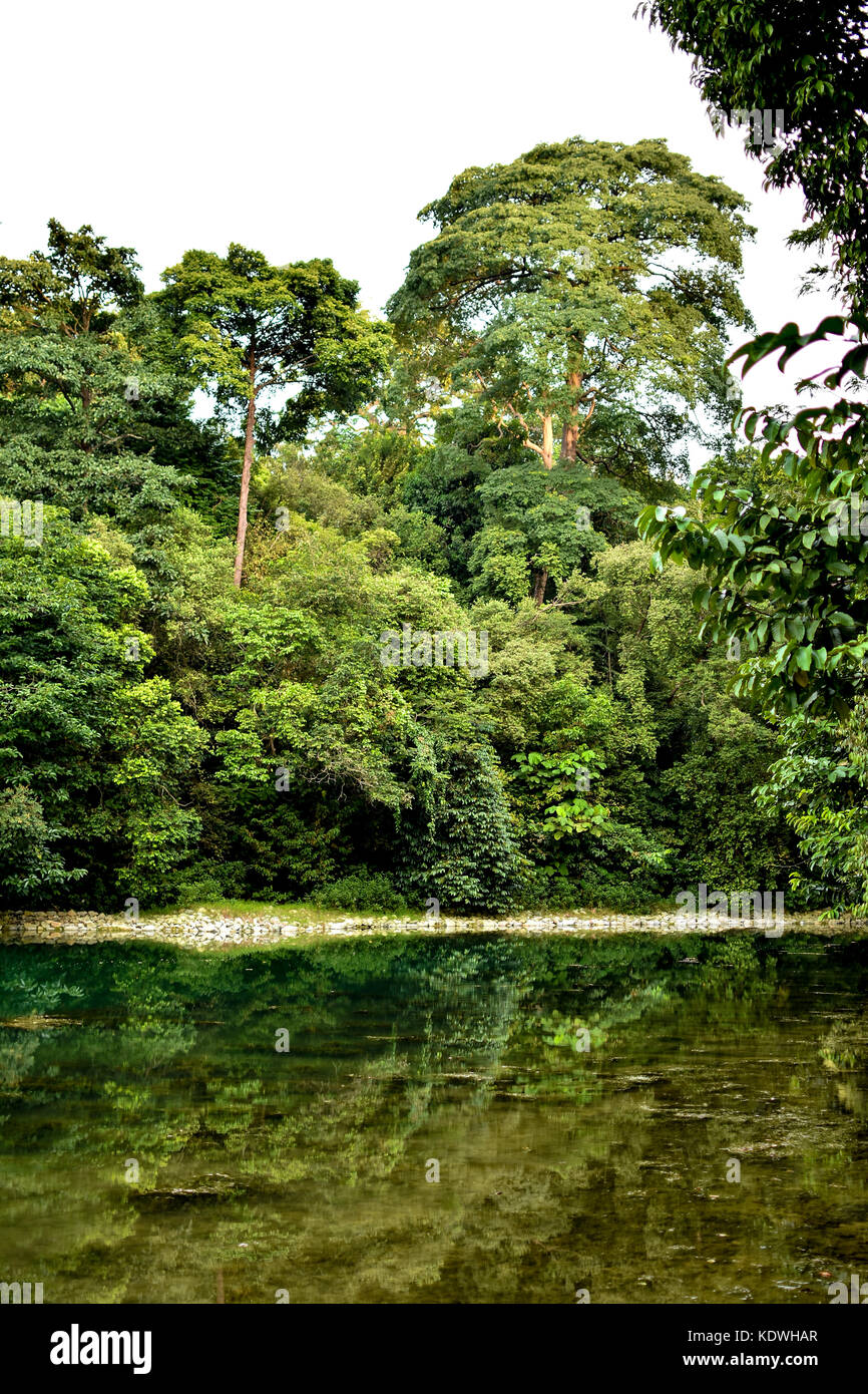 Beautiful calm clean water hi-res stock photography and images - Alamy