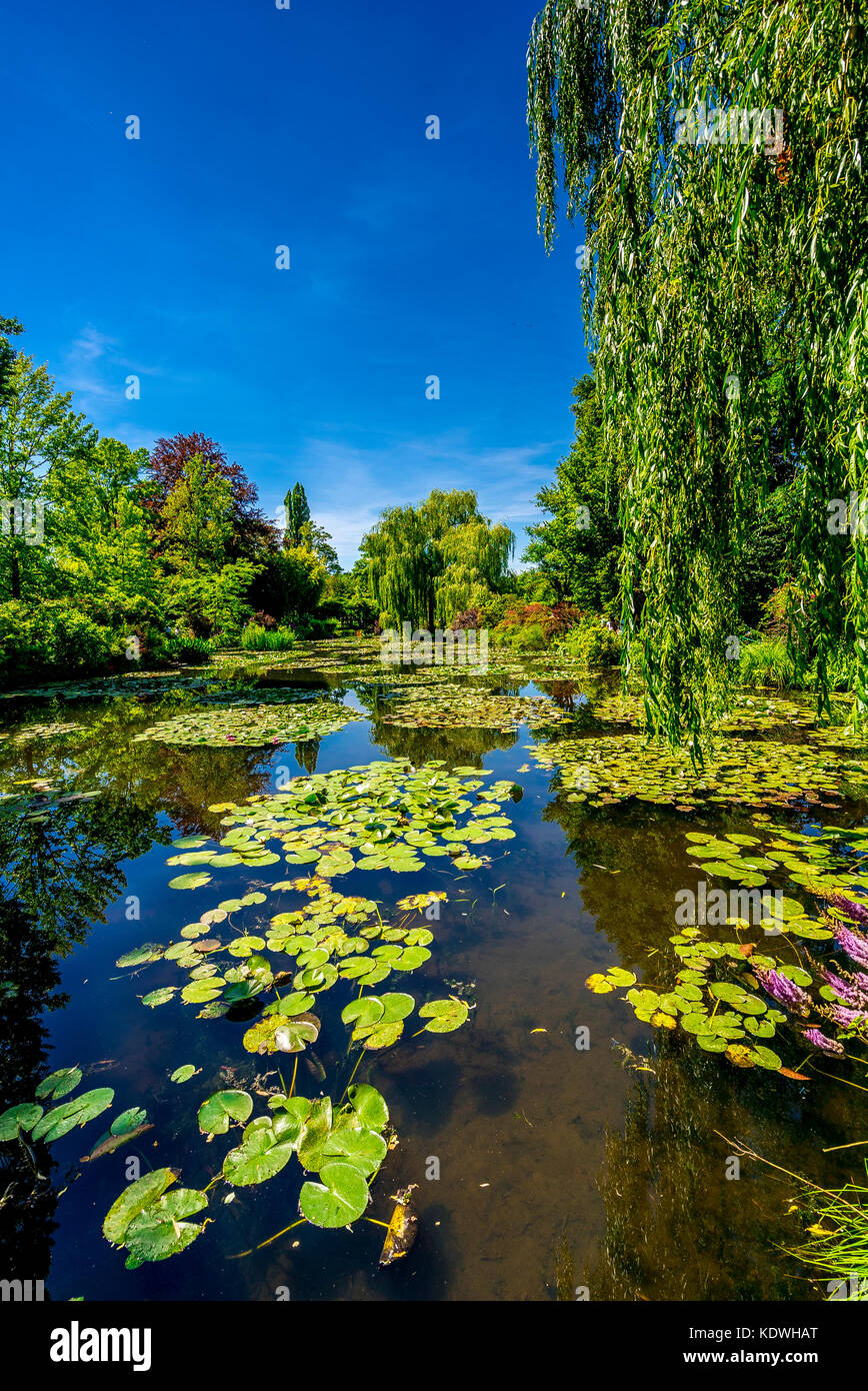 Monet's famous Lily Pond Stock Photo - Alamy