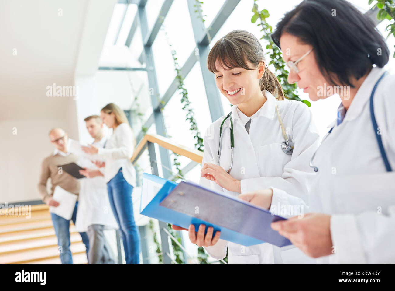 Young woman as doctor or nurse works in cooperation on patient record ...