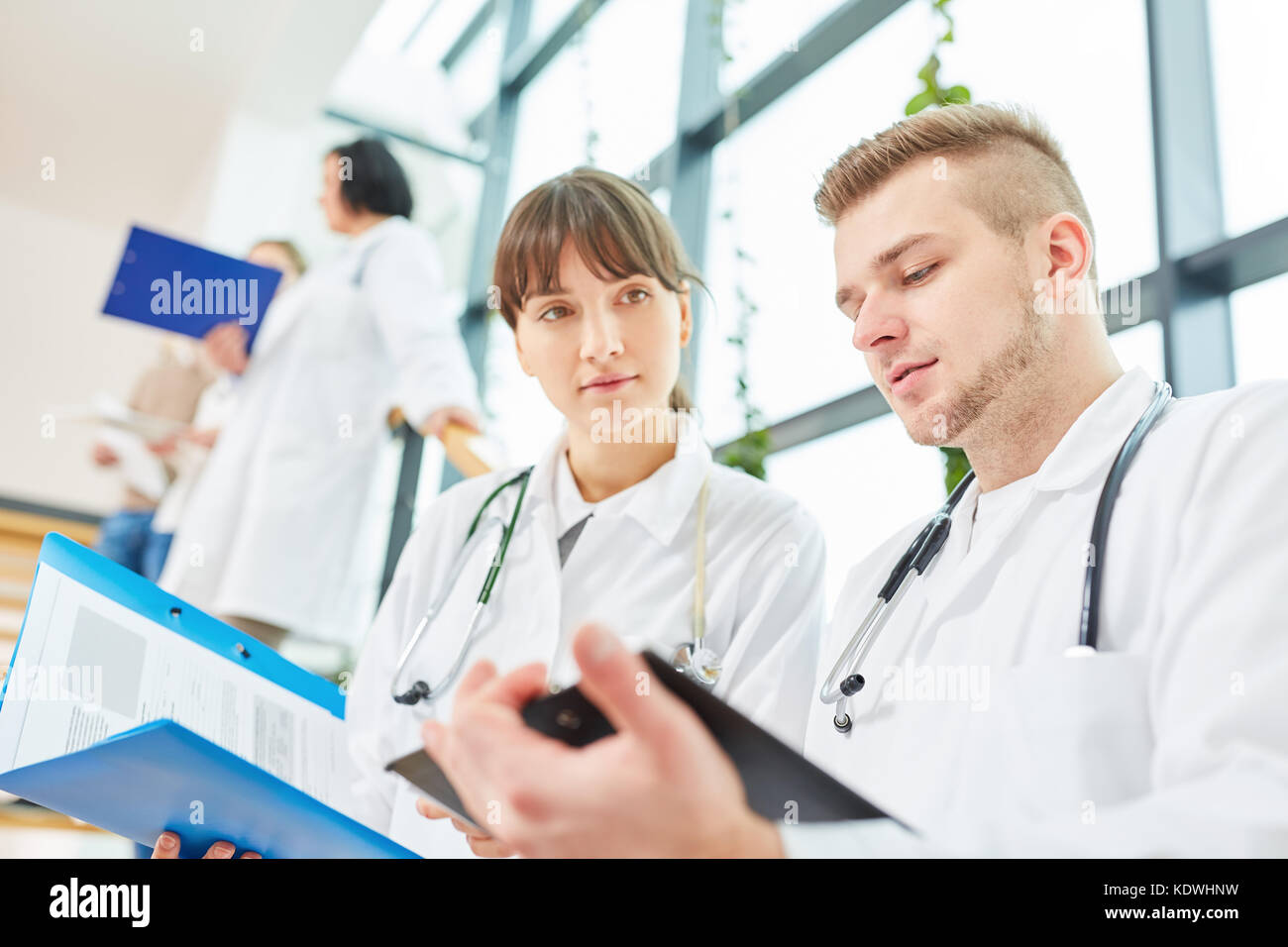 Young apprenticeship doctors in teamwork with cooperation Stock Photo ...