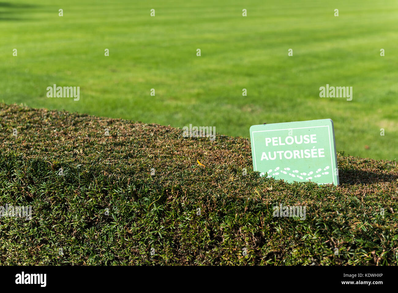 Garden Notice Board High Resolution Stock Photography and Images - Alamy