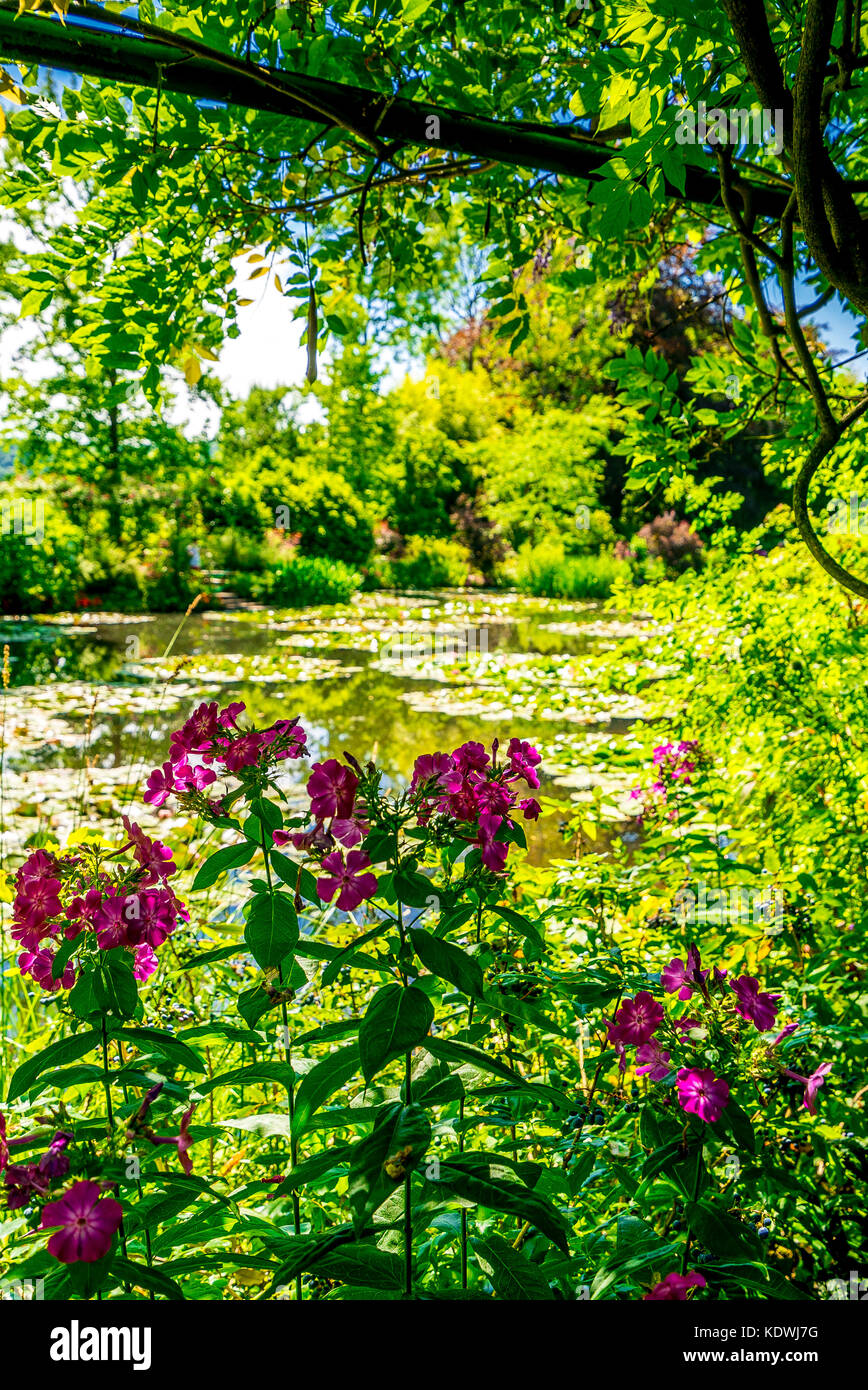 Monet's famous Lily Pond Stock Photo - Alamy