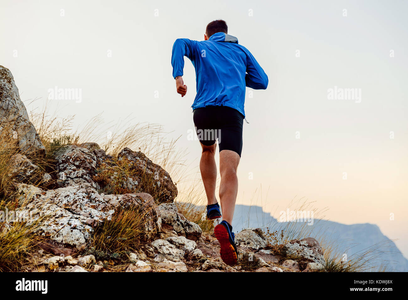 Man leg muscles thigh hi-res stock photography and images - Alamy