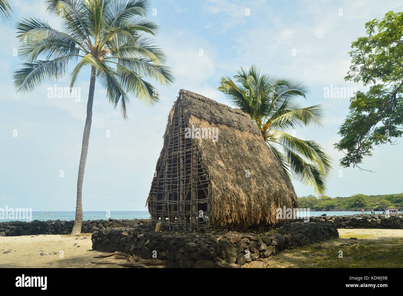 Hawaiian Native Village House Stock Photo - Alamy