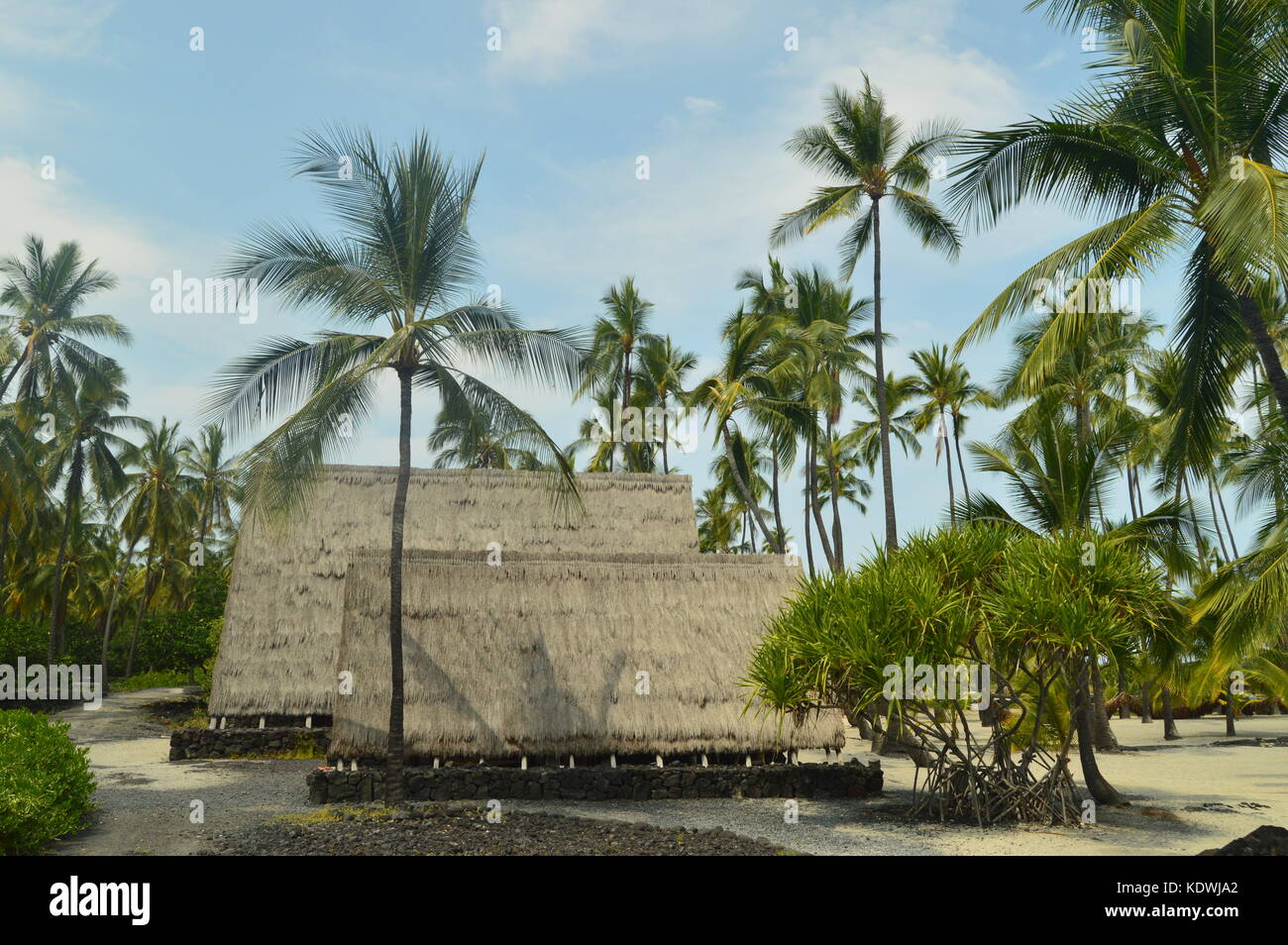 Hawaiian Native Village House Stock Photo - Alamy