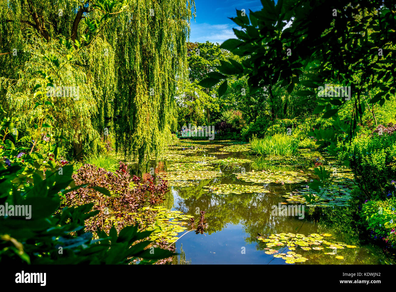 Famous Lily pond in Monet's garden Stock Photo - Alamy