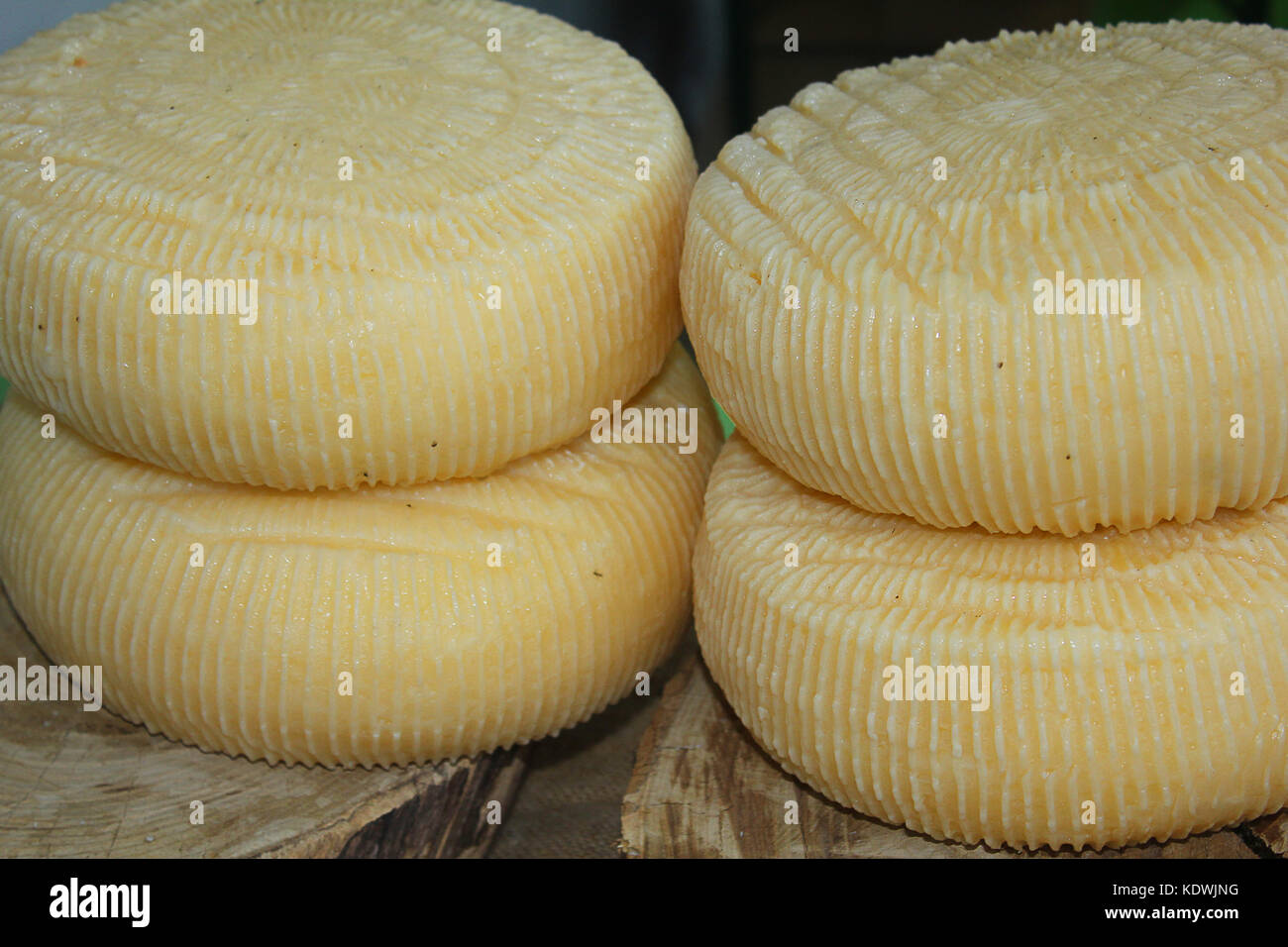 some big forms of fresh cheese in the market Stock Photo - Alamy