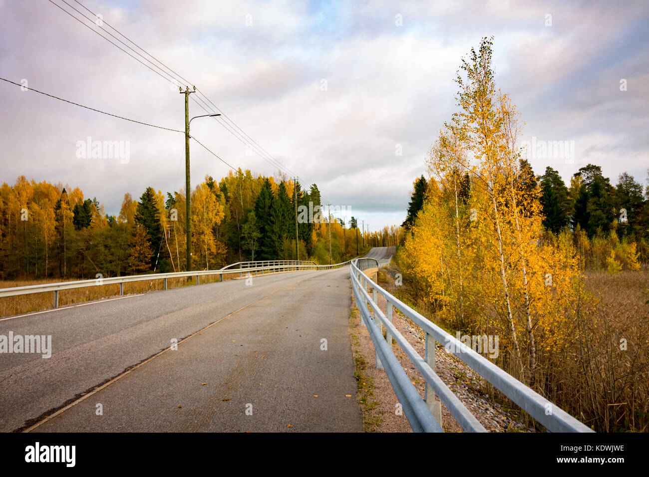 A tarmac road surrounded by trees in autumn colors Stock Photo - Alamy