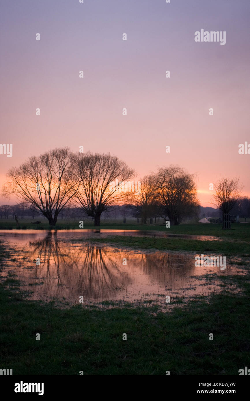 richmond park london sunset Stock Photo - Alamy