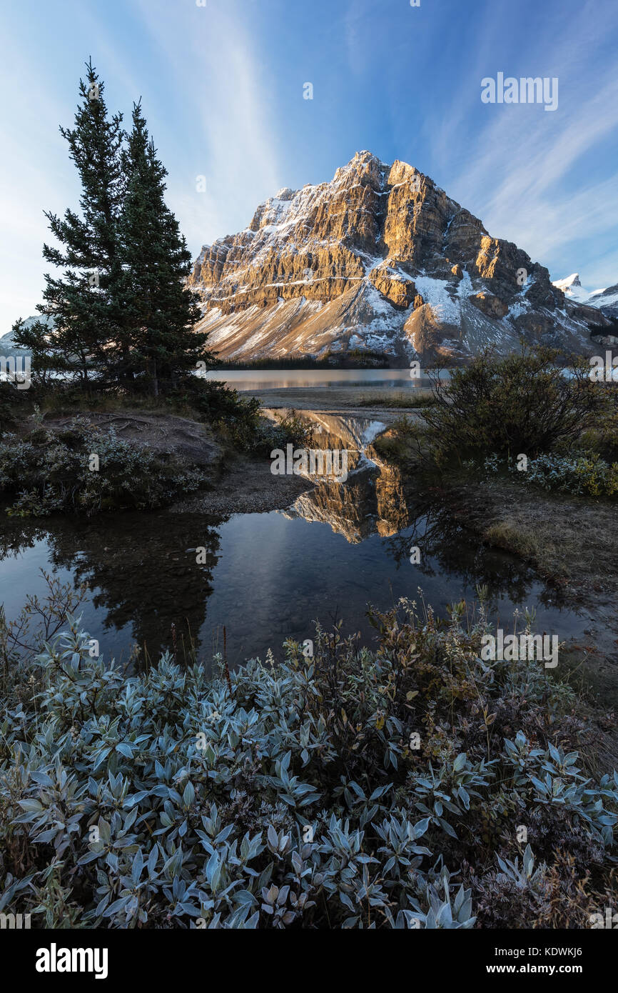 Canadian Rockies reflected in small pond at Bow Lake, Banff National ...