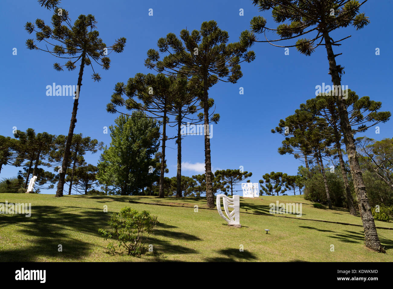 Sculptures at open-air 'Museu Felicia Leirner' museum and garden, with ...