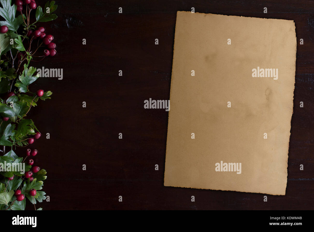 beautiful rustic dark wooden background with hawthorn foliage border at ...