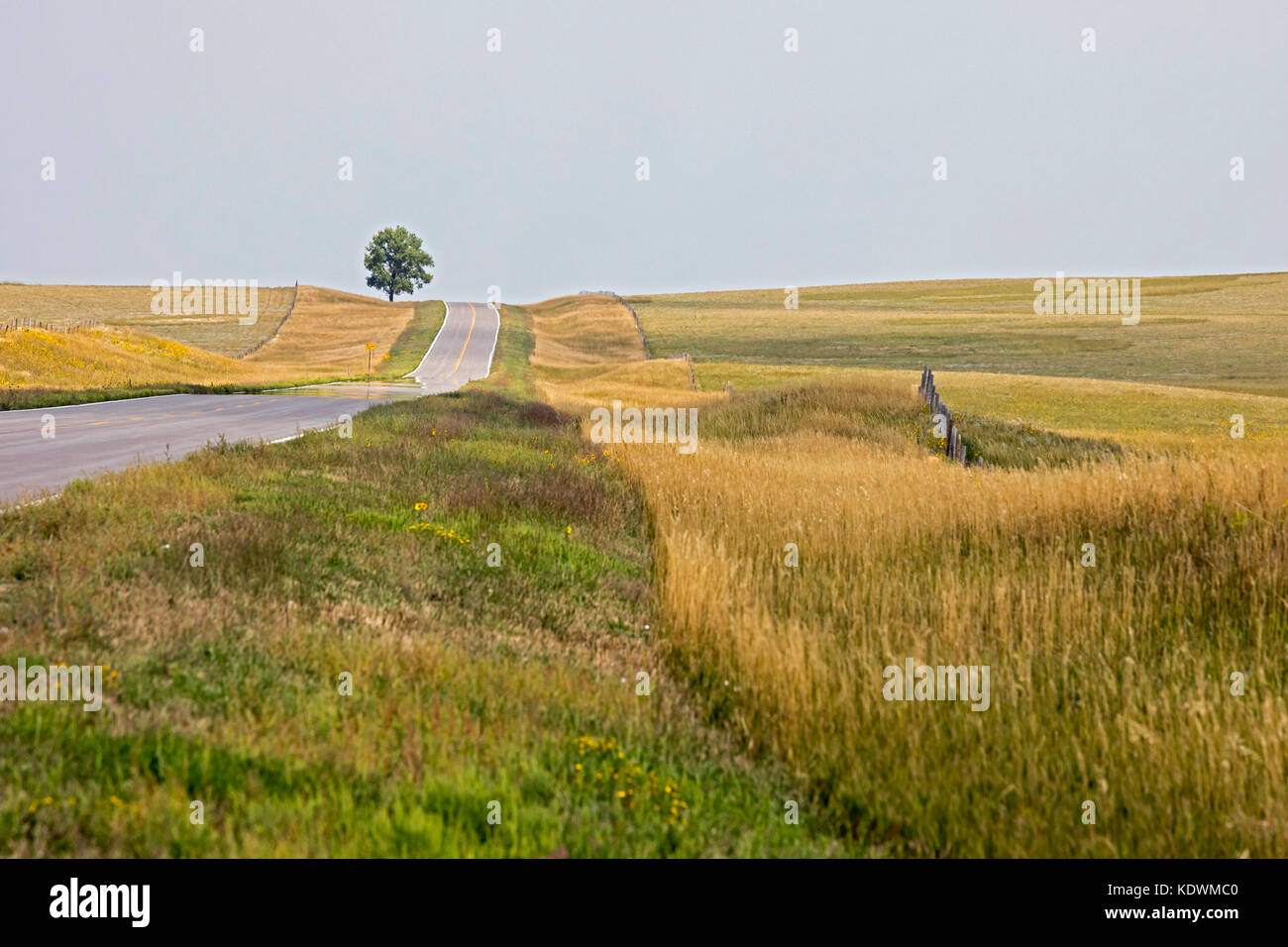 Tree stands hi-res stock photography and images - Alamy