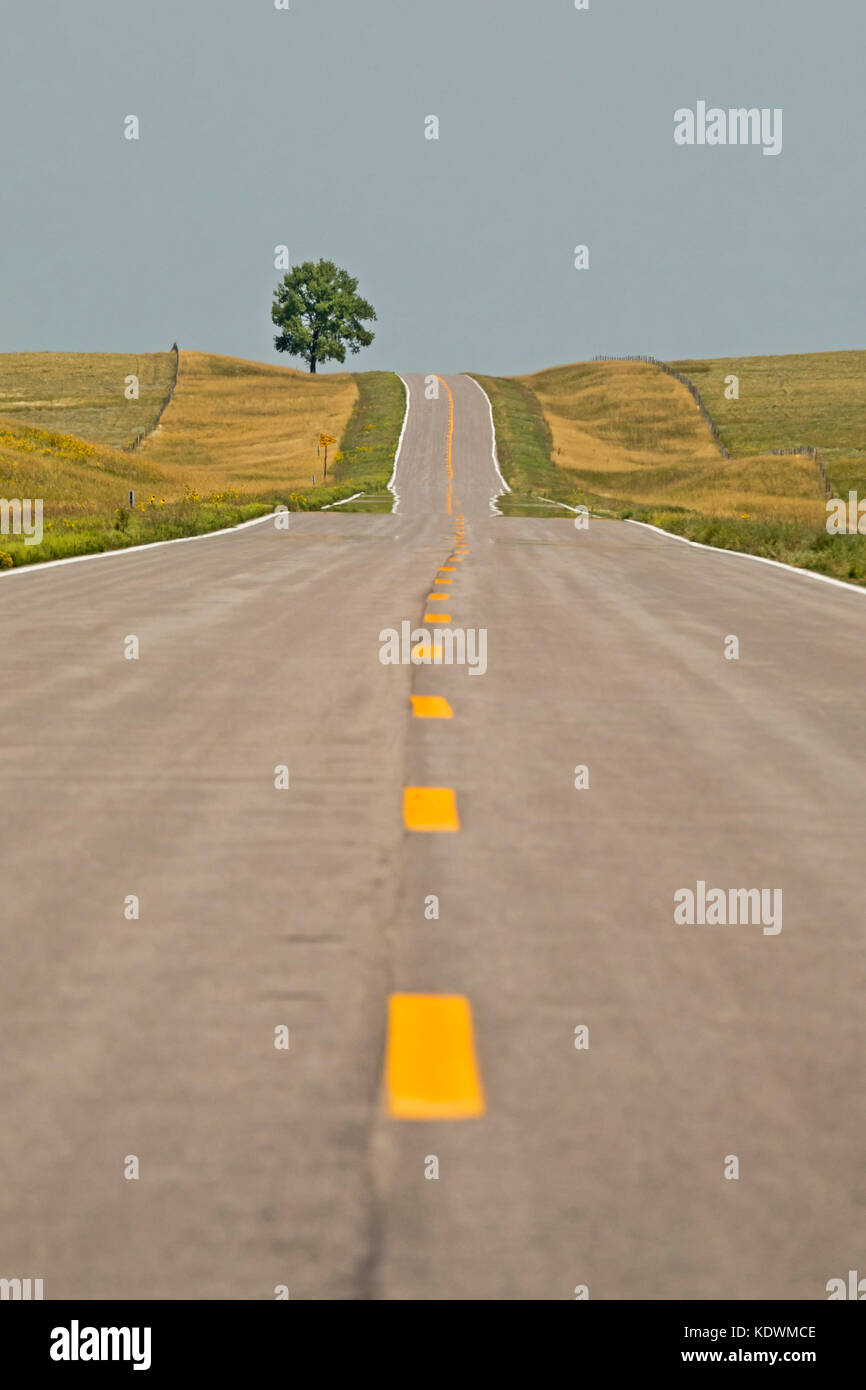 Nebraska tree hi-res stock photography and images - Alamy