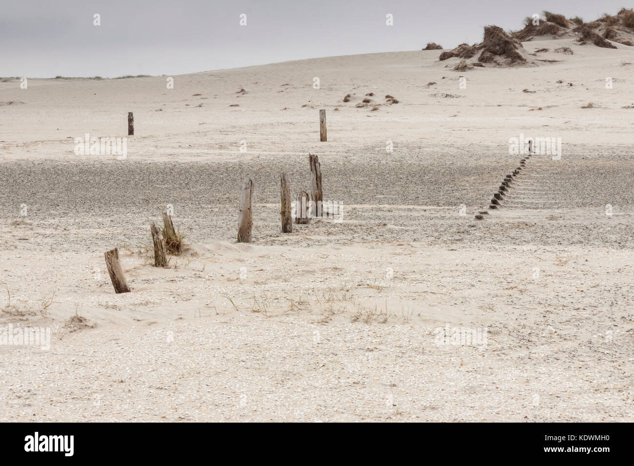 Beach on Romo Island. Denmark, Europe Stock Photo - Alamy