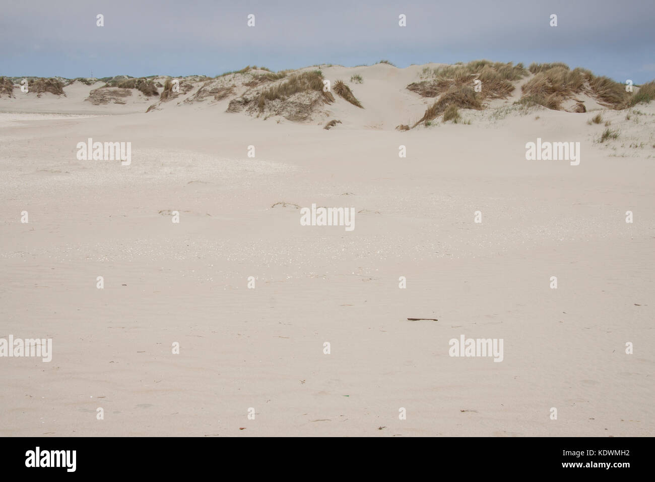 View on dunes on Romo Island in Denmark, Europe Stock Photo - Alamy