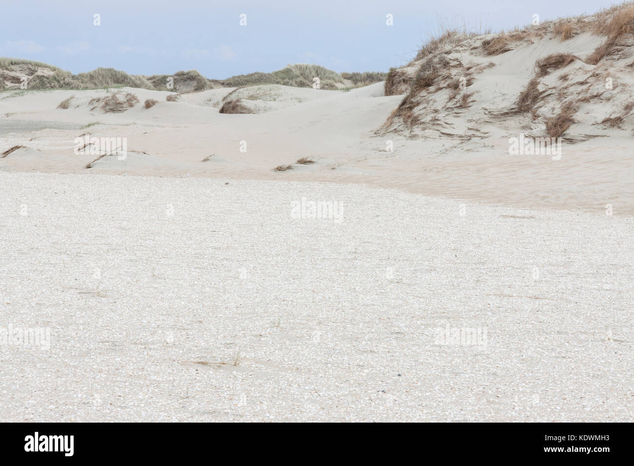 Beach on Romo Island. Denmark, Europe Stock Photo - Alamy
