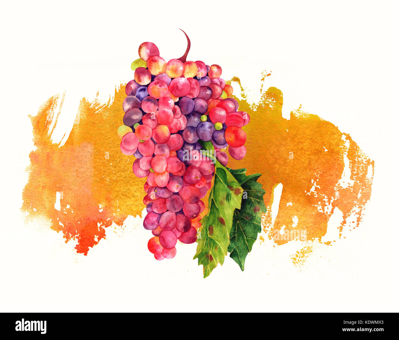Wine Grapes Drawing Glass Of Wine And A Basket Of Grapes Stock Clipart