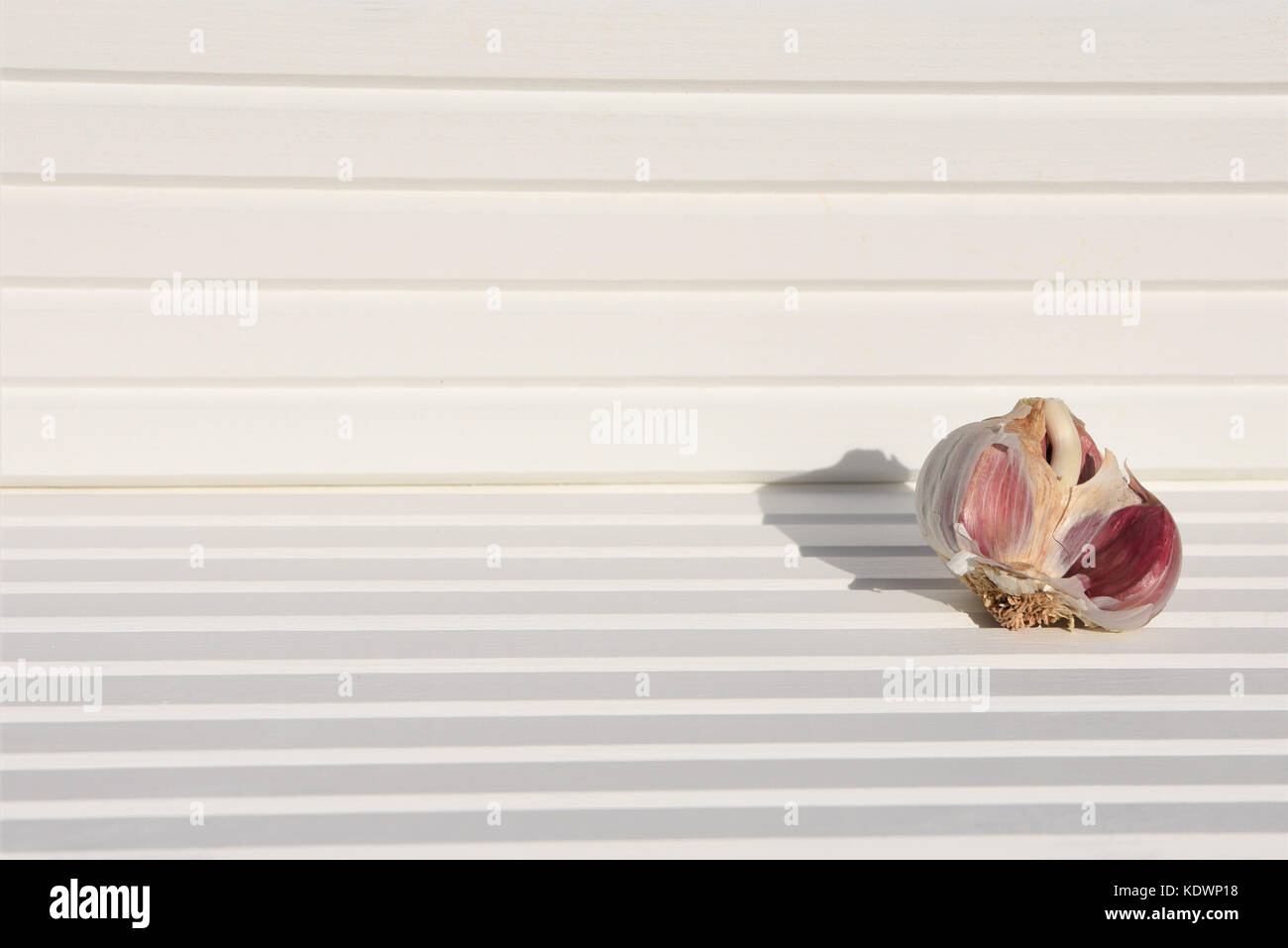 food photography image of bright white open garlic bulb and garlic ...