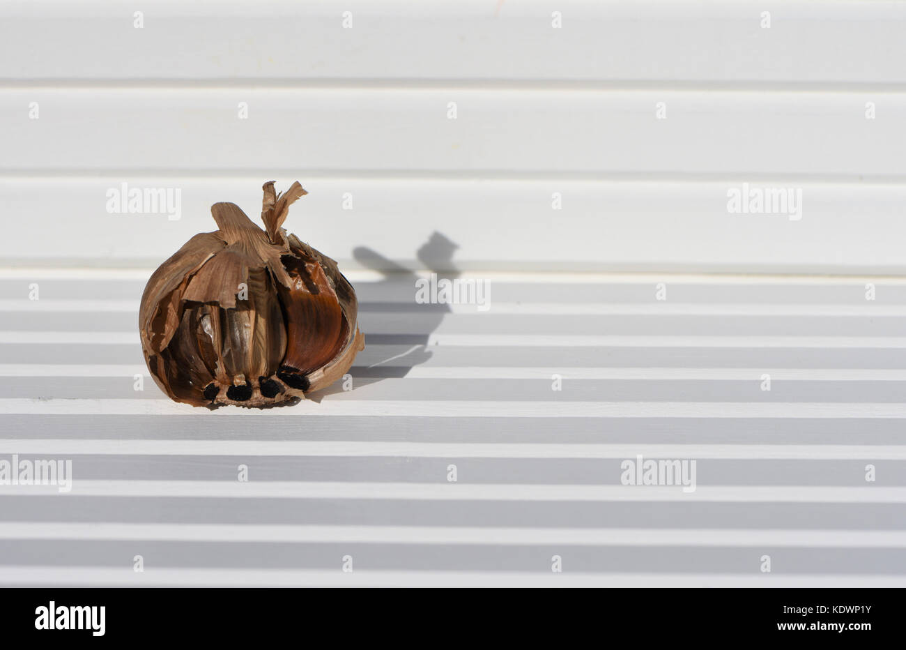 bright food photography image of open black garlic bulb and garlic ...