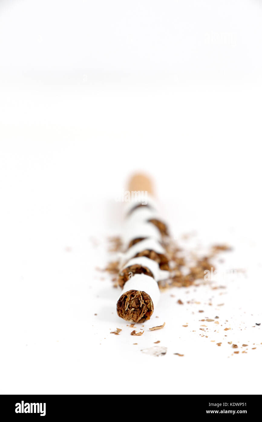 cut Cigarette isolated on a white background,shallow dof Stock Photo ...