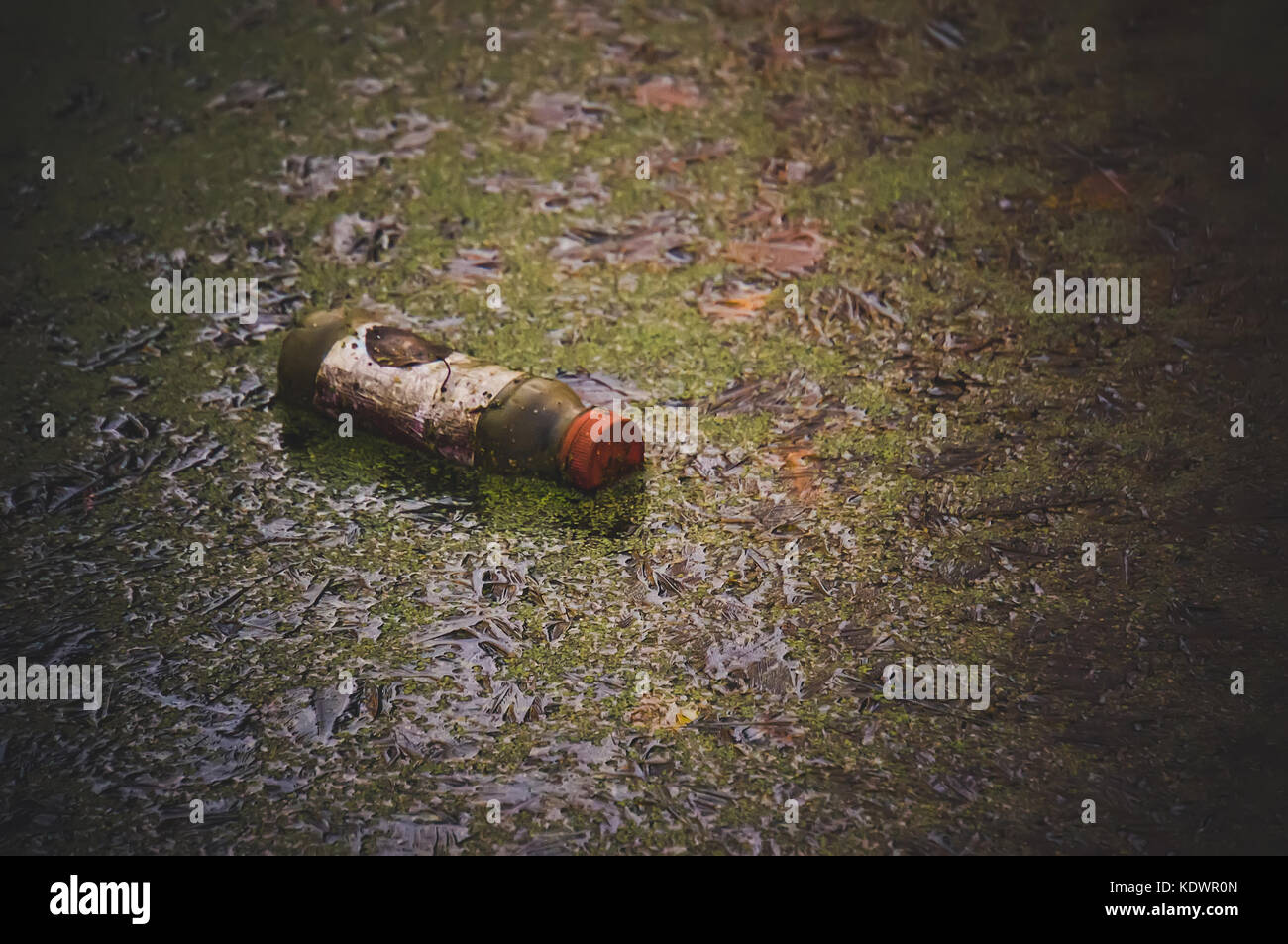 Plastic waste in the dirty water and green grass. Pollution of the ...