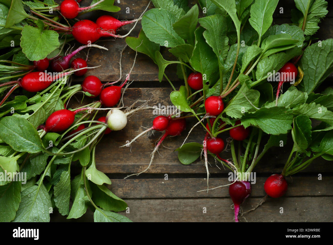 radish in wood crate Stock Photo - Alamy