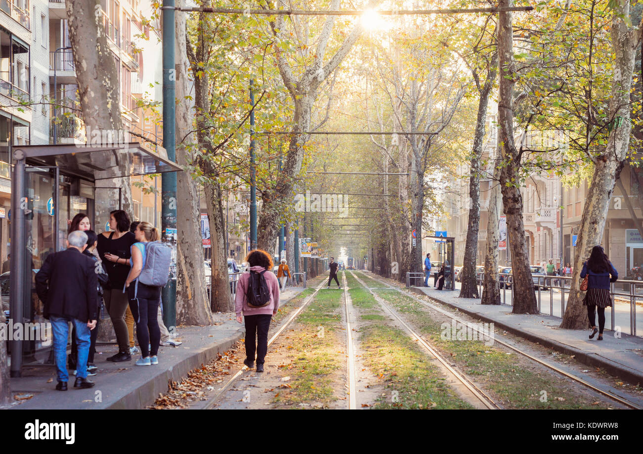 A busy tram stop and tree-lined path of rail lines in Milan, Lombardy ...
