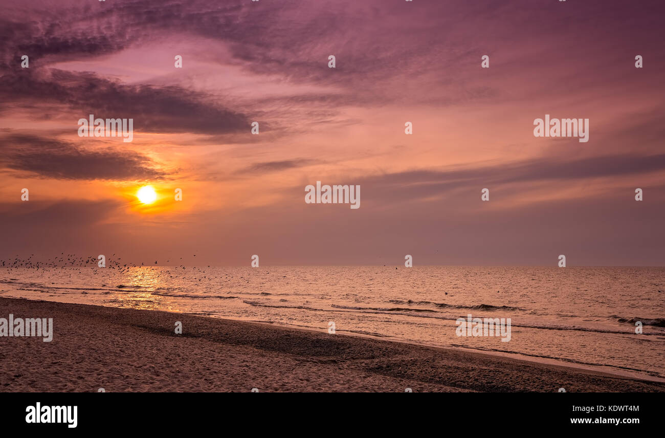Sunset over the sea beach in summer with shallow depth of field Stock ...
