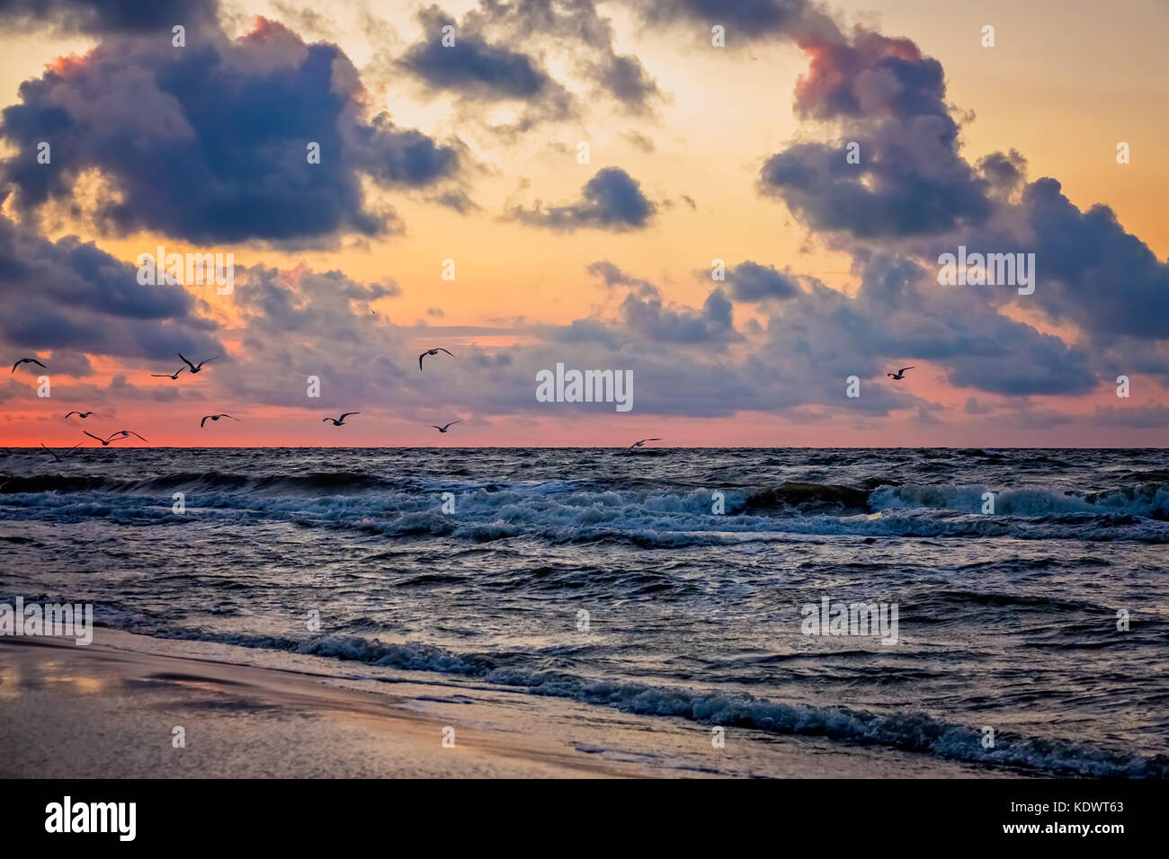 Seagulls flying over the sea beach in summer at sunset Stock Photo - Alamy