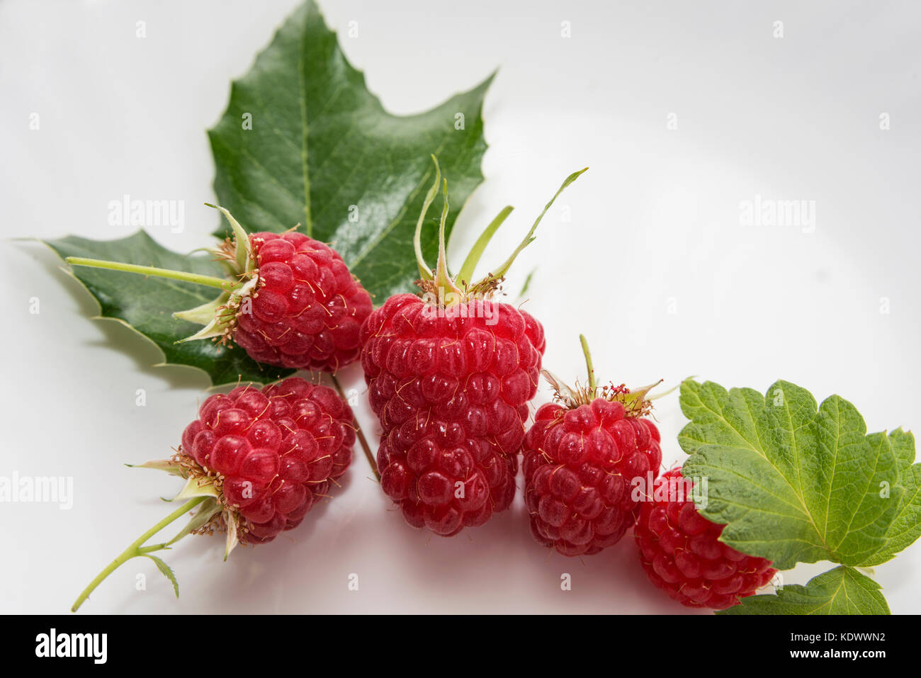 Fresh raspberries on white background with leaves Stock Photo - Alamy