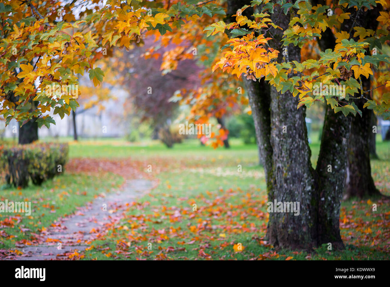 Beautiful Fall Season Stock Photo - Alamy