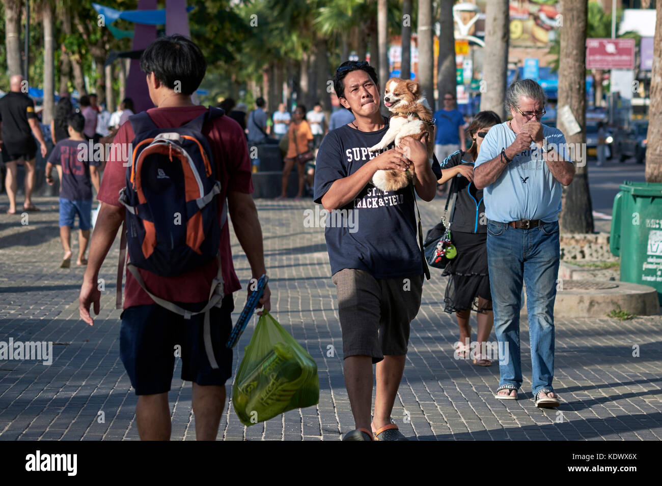 Carrying Dog, man carrying pet outside, carry animal, Thailand, street ...