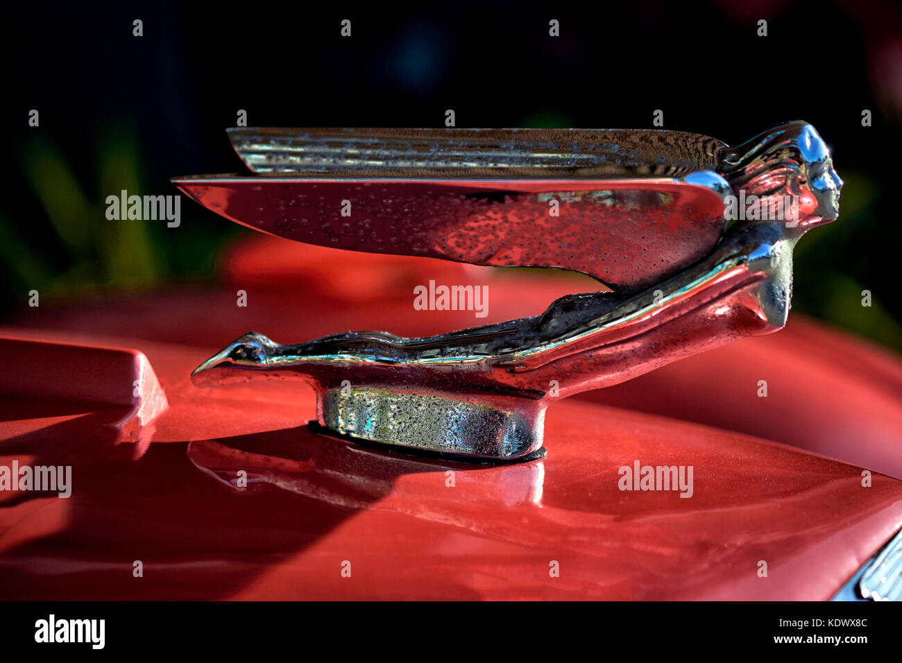 Cadillac mascot, closeup, car mascots, American, USA, Flowing Goddess ...