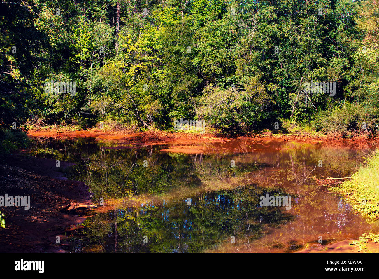 Clay river bank hi-res stock photography and images - Alamy