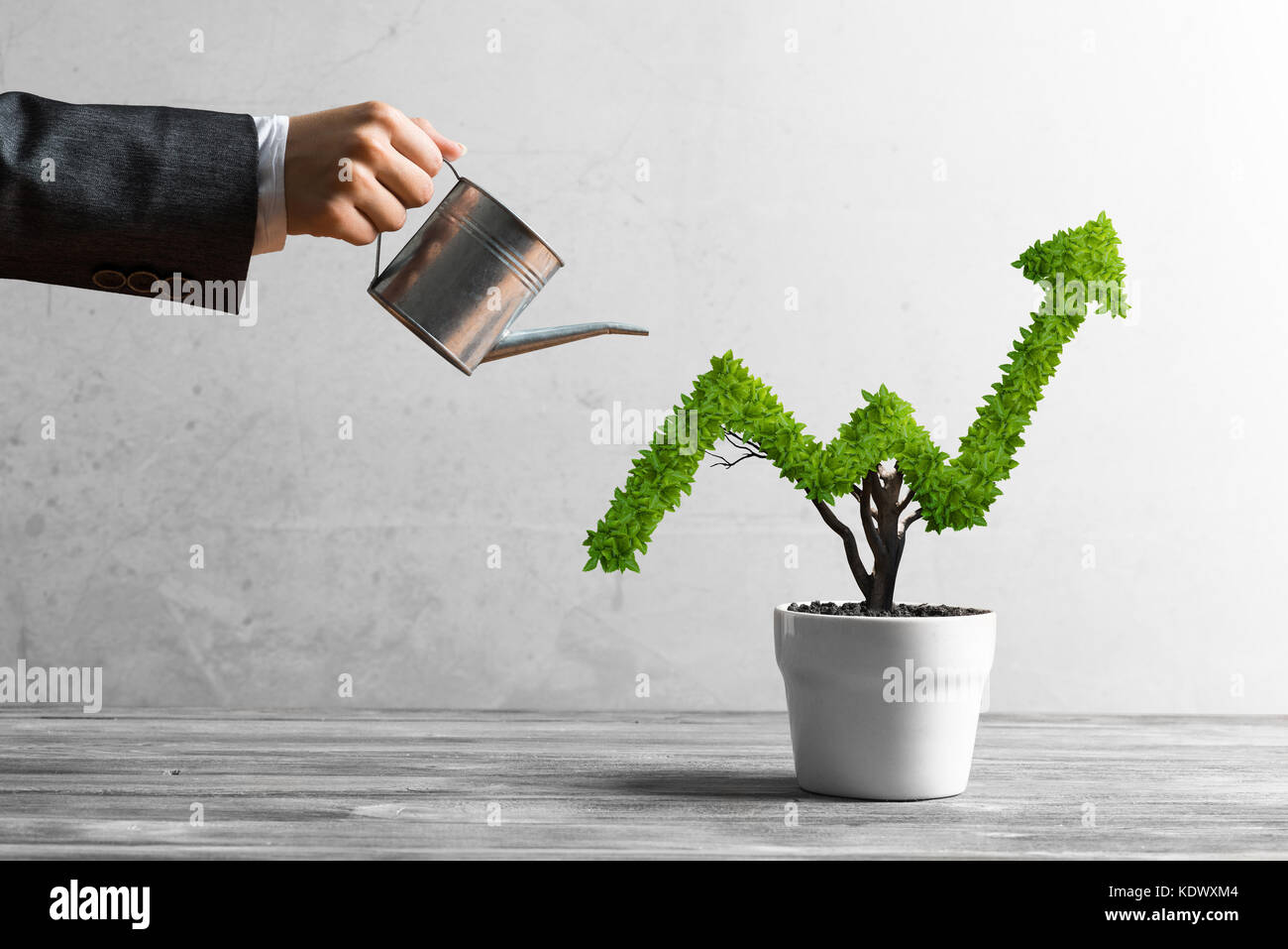 Concept of investment income and growth with tree in pot Stock Photo ...