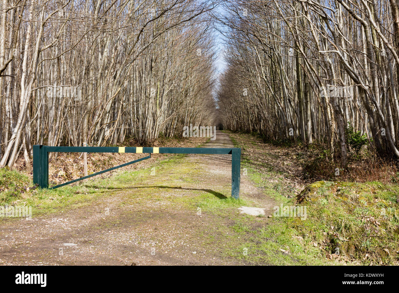 Tunnel effect hi-res stock photography and images - Alamy