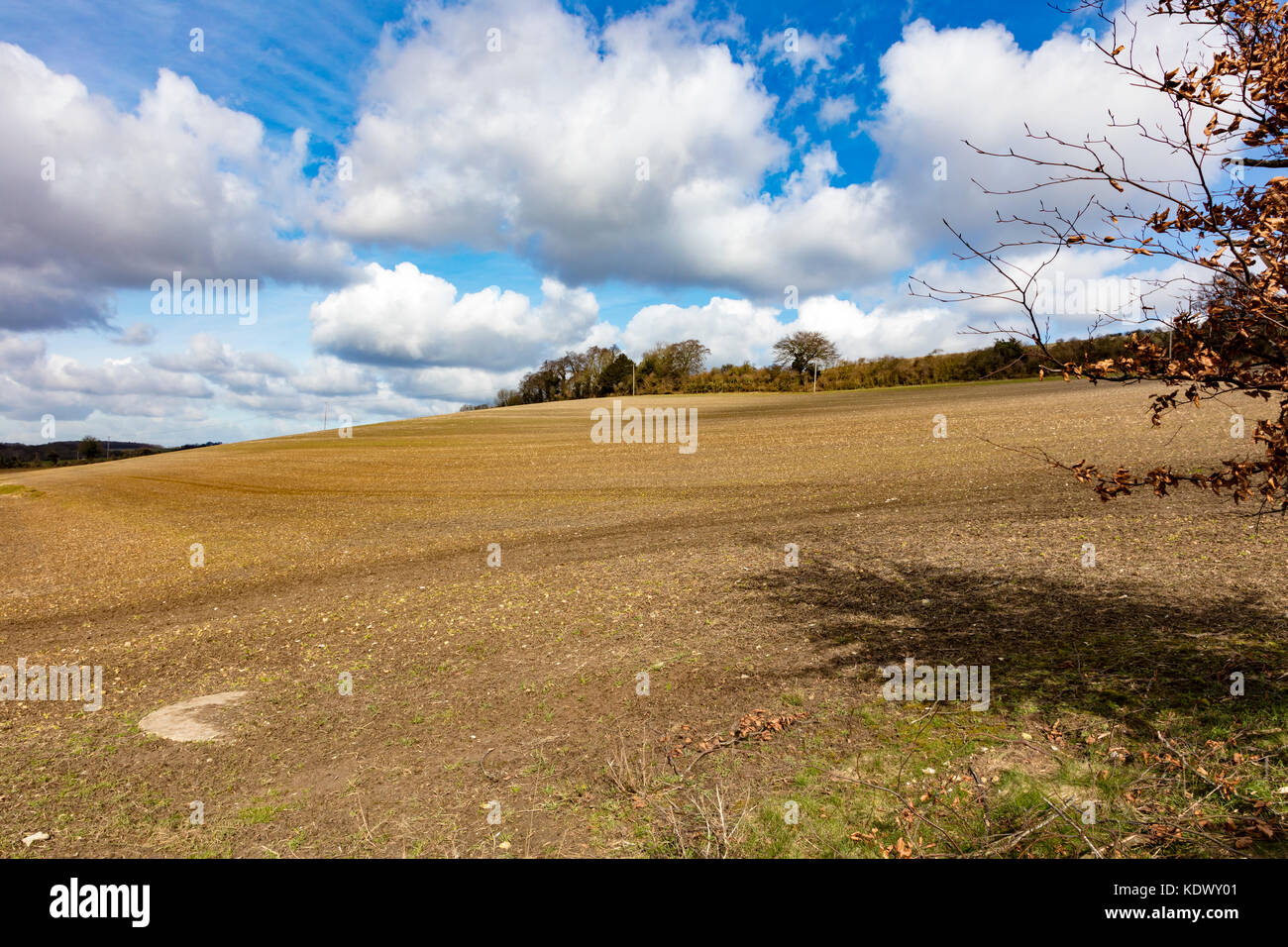 Kent country rural views of a valley being farmed near Petham, Kent, UK ...
