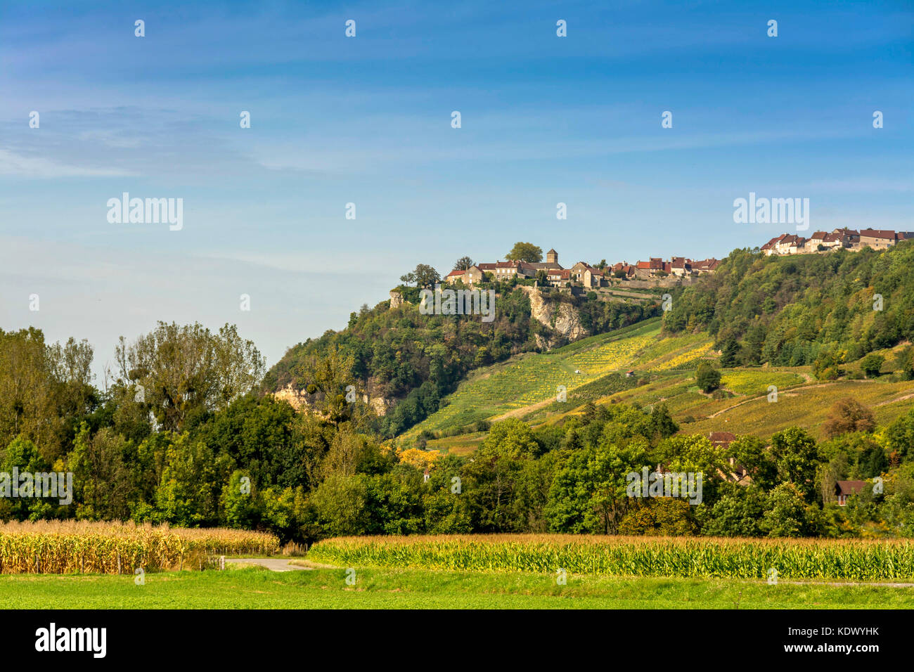 Vineyards of Chateau-Chalon village, one of the Most Beautiful Villages ...