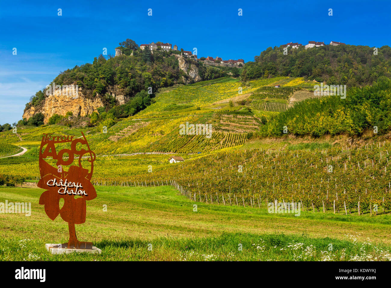 Vineyards of Chateau-Chalon village, one of the Most Beautiful Villages ...
