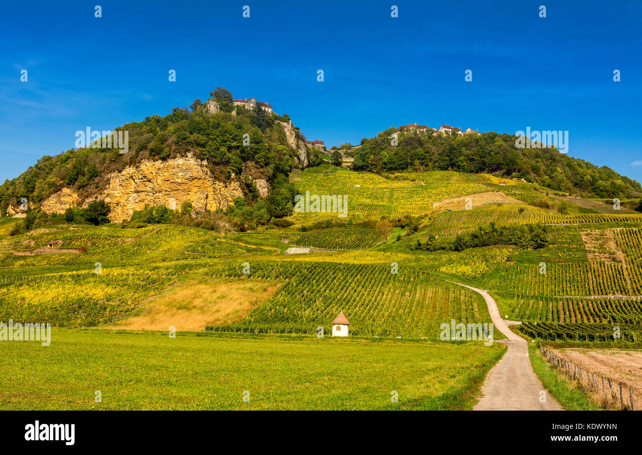 Vineyards of Chateau-Chalon village, one of the Most Beautiful Villages ...
