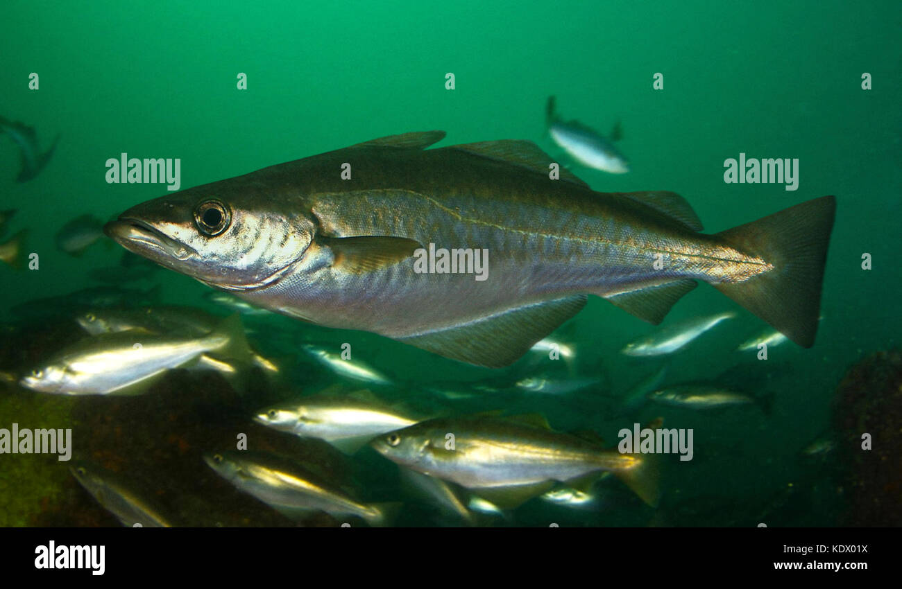 North Eastern Parts High Resolution Stock Photography and Images - Alamy