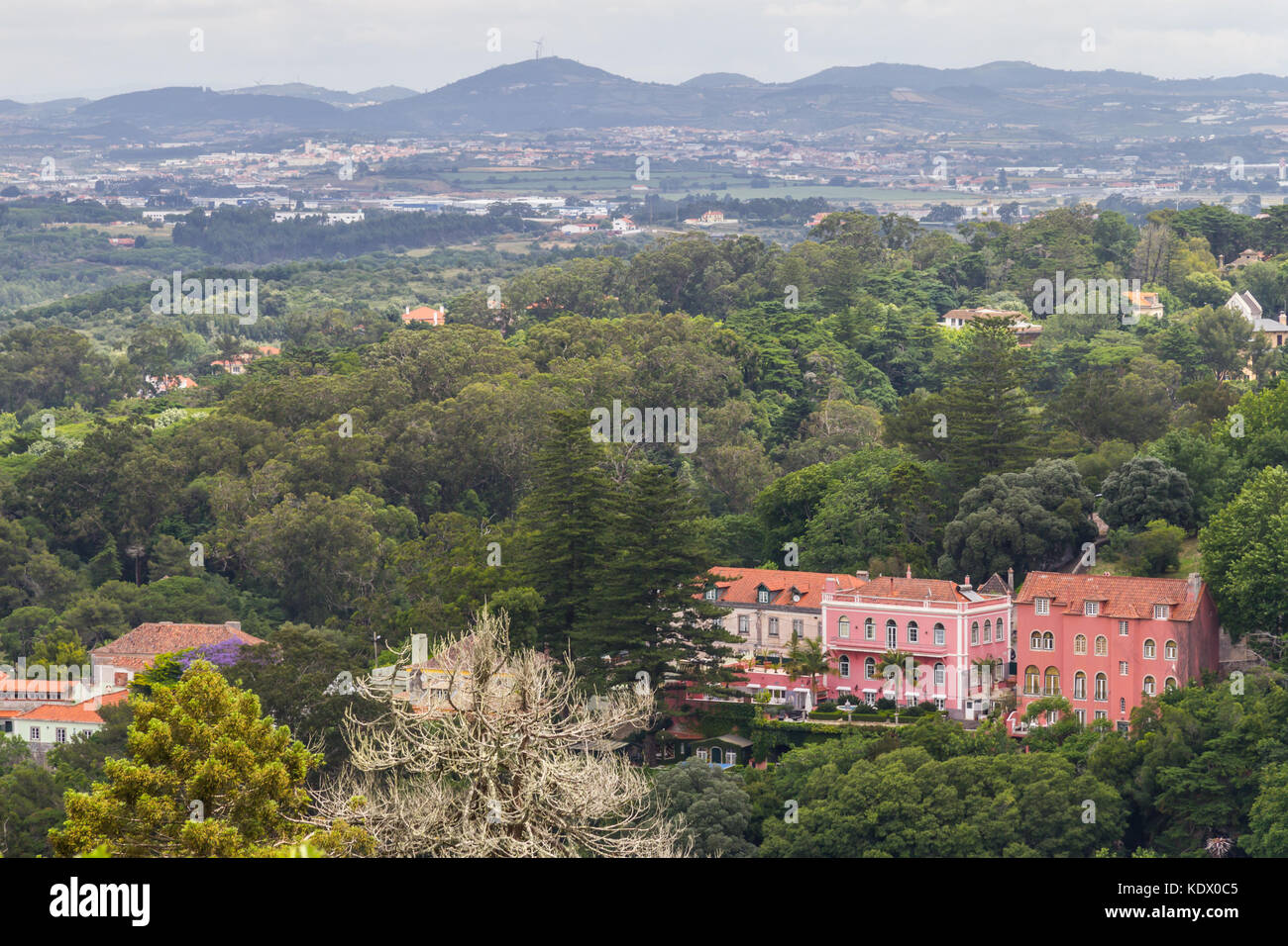 Old Buildings and vegetation in Sintra village, Portugal Stock Photo ...