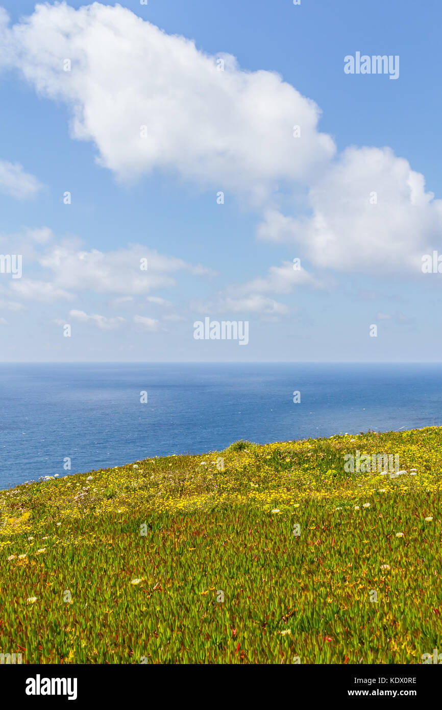 Trail in Cabo da Roca, Sintra, Portugal Stock Photo - Alamy
