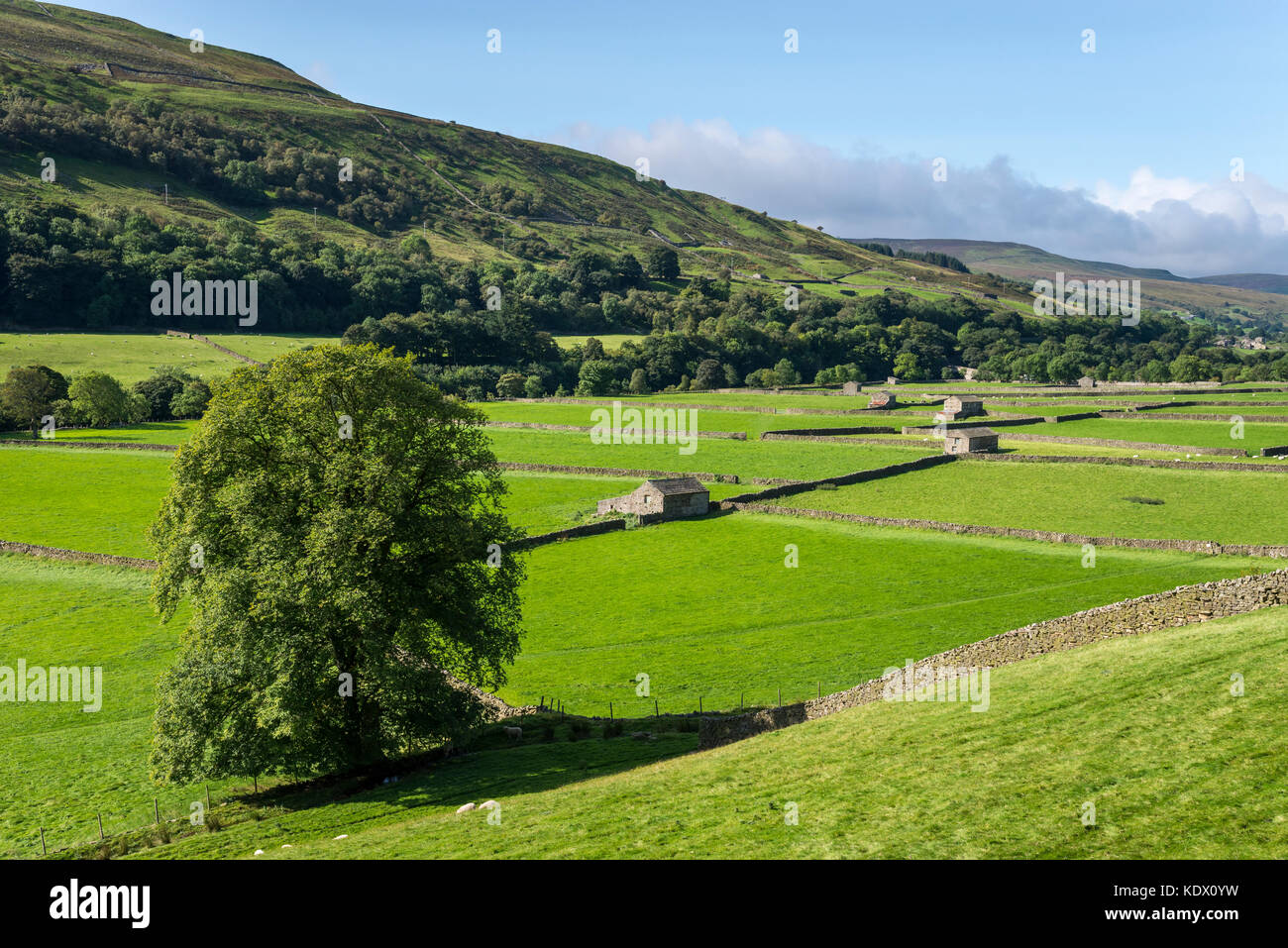 Beautiful countryside around the village of Gunnerside in Swaledale ...
